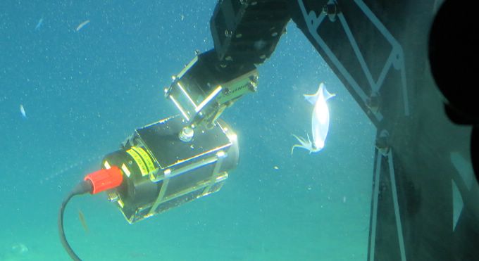 BBC和NHK使用Micro Studio Camera 4K擷取水下影像 蘋果新聞-蘋果網